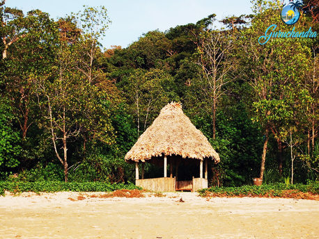 Chidiya Tapu Beach - Bird Watching & Sunset Point | Guruchandra Tours ...
